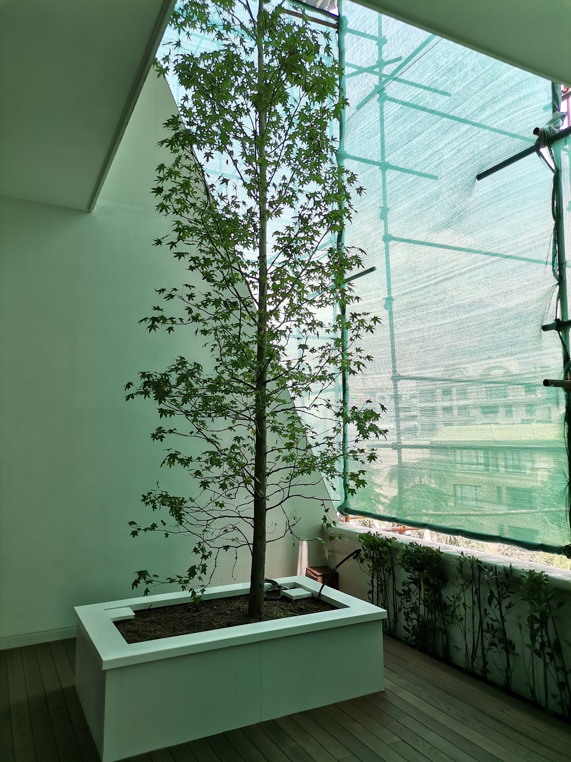 SACo. Landscape Group – Consultant, Design, Implentation, of Landscape ...